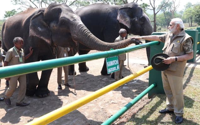 Prime Minister reiterates commitment to protect the elephant on World ...