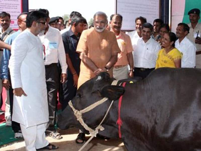 Hon’ble CM inaugurates India’s first animal hostel in Akodara village ...